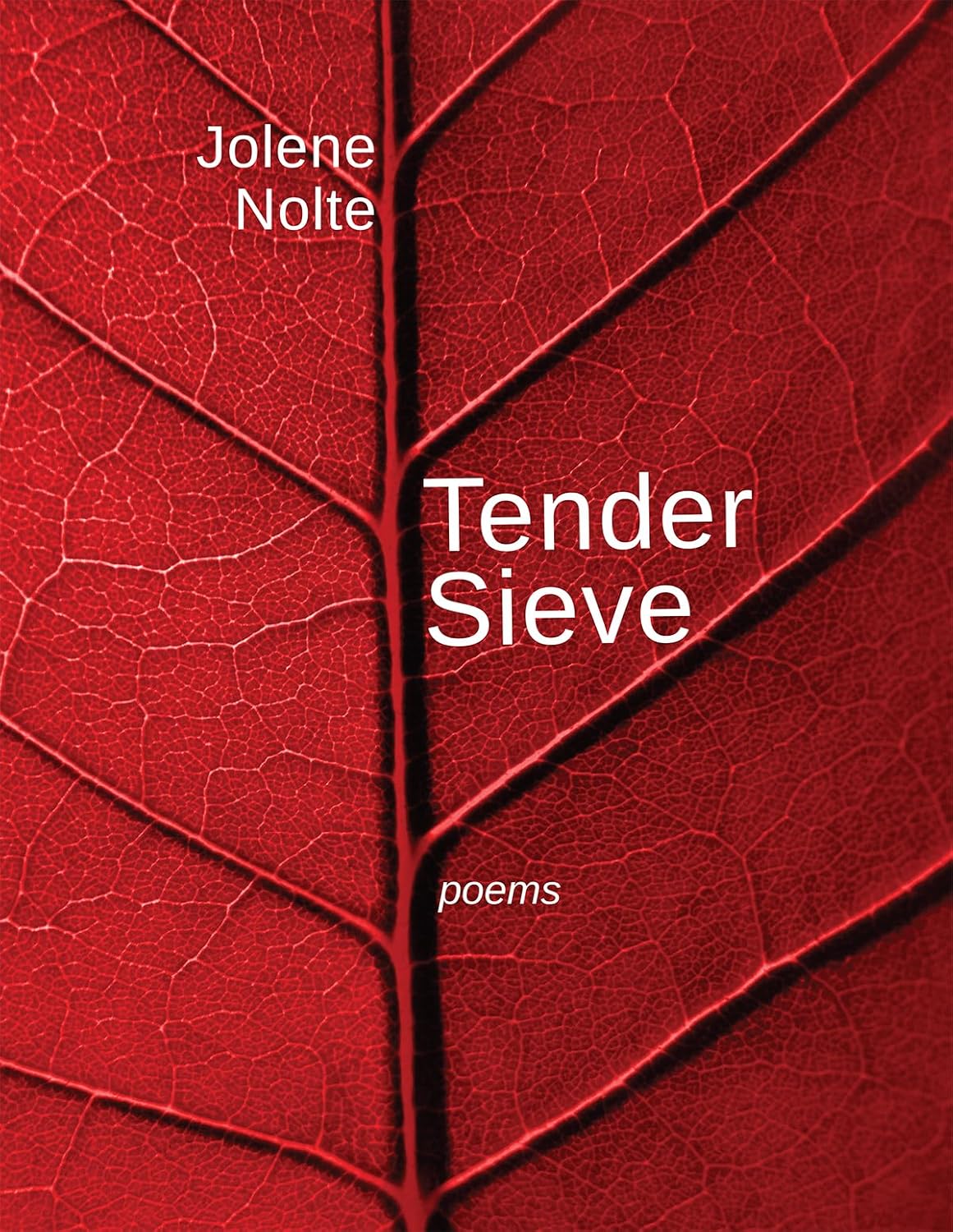 Tender Sieve: Poems: Nolte, Jolene: 9781666758795: Amazon.com: Books