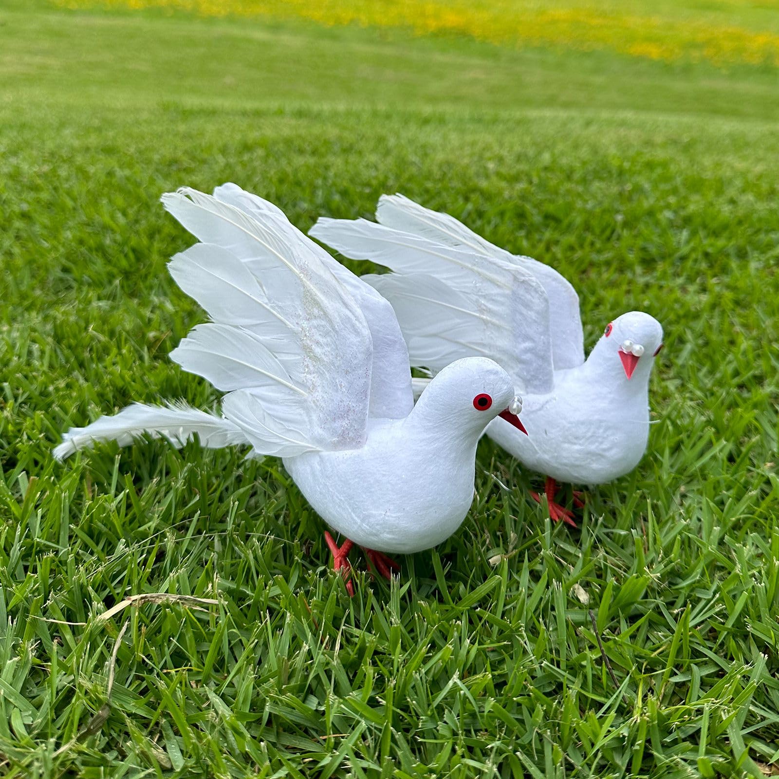 White Dove Wide Love I've Been Seeing These Birds In My Dreams A Lot.