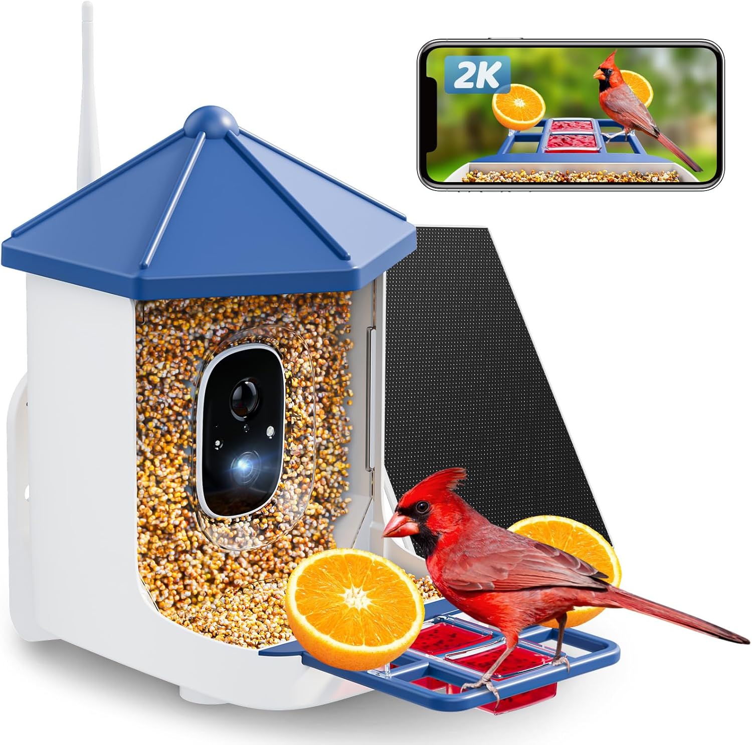 Amazon.com : Solareye Bird Feeder with Camera, 2K HD Color Night View ...