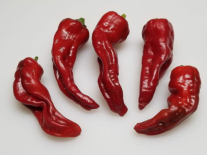 Amazon.com : Chimayo Pepper 10+ Seeds : Patio, Lawn & Garden