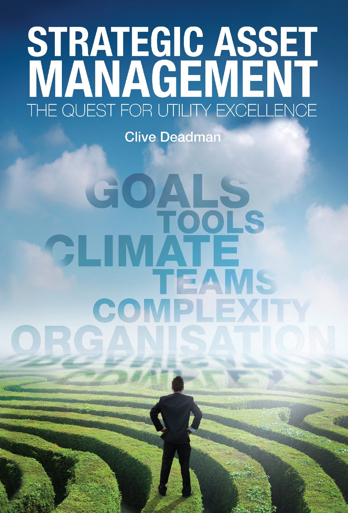 Strategic Asset Management: Clive Deadman: 9781848763661: Amazon.com: Books