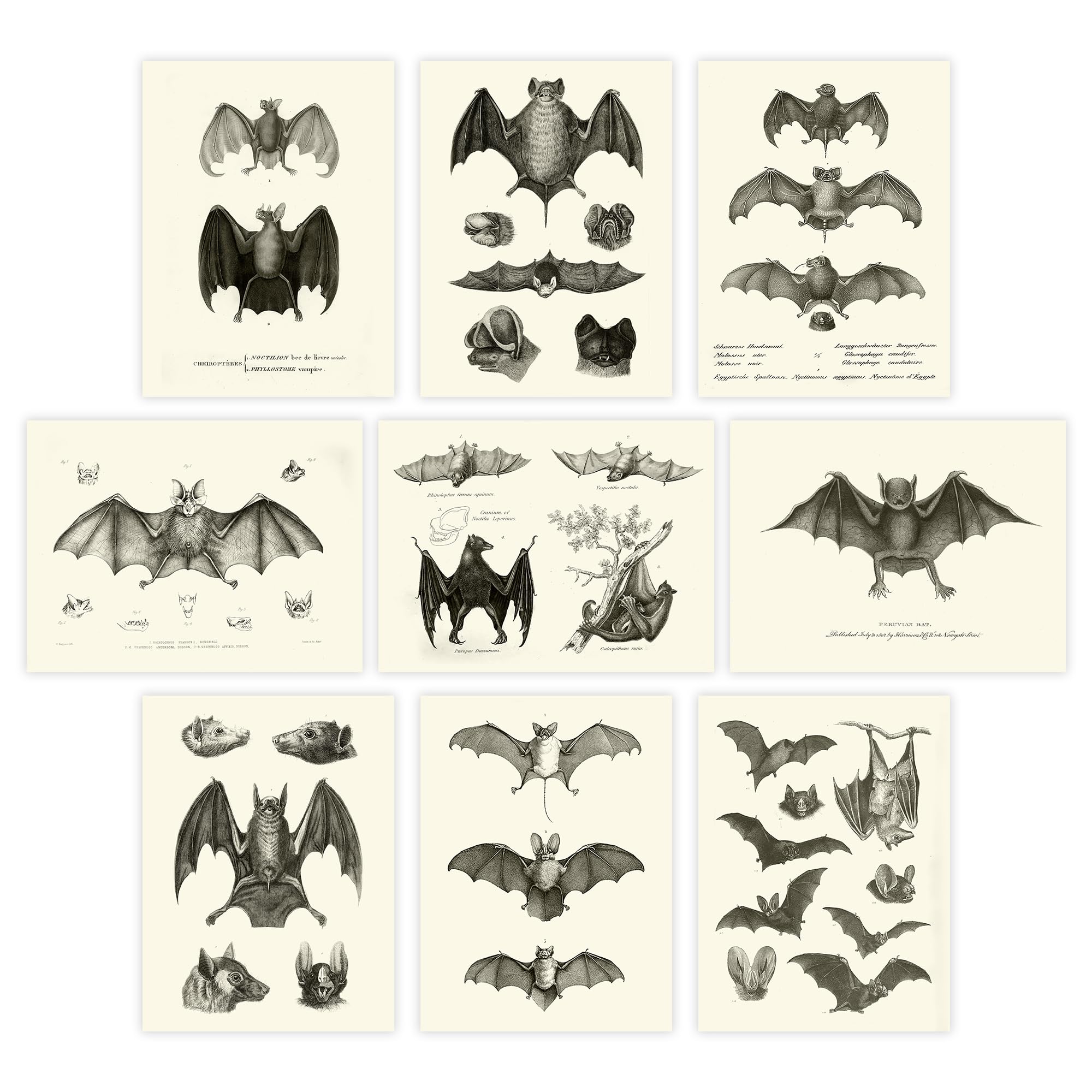 Bats Wall Decor/Vintage Halloween Decor, Halloween Decor Posters ...