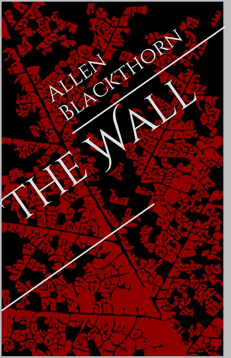 Amazon.com: The Wall eBook : Blackthorn, Allen, Brumbaugh, Dennis WK ...