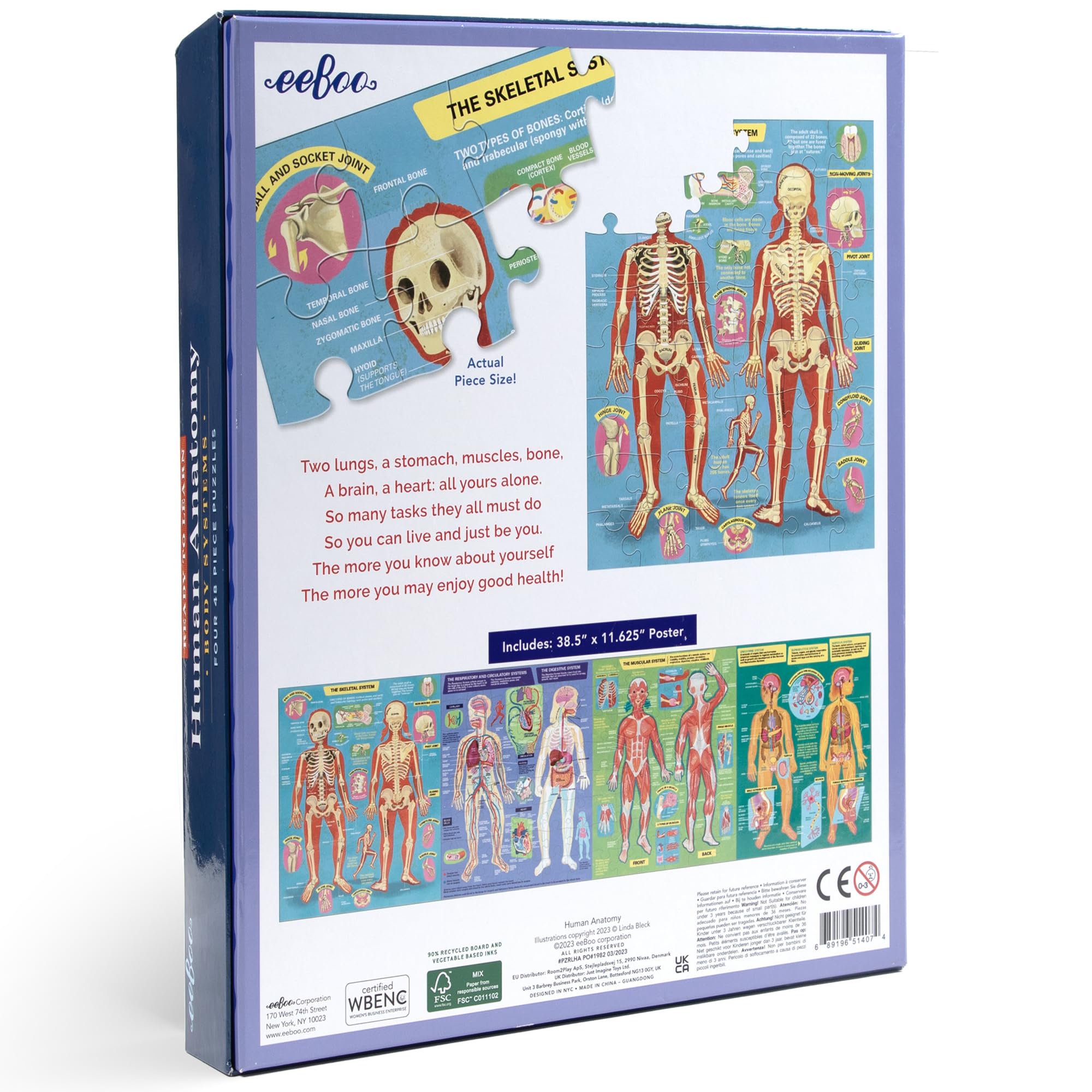 Snapklik.com : eeBoo: Ready To Learn: Human Anatomy 4-Puzzles - Body ...