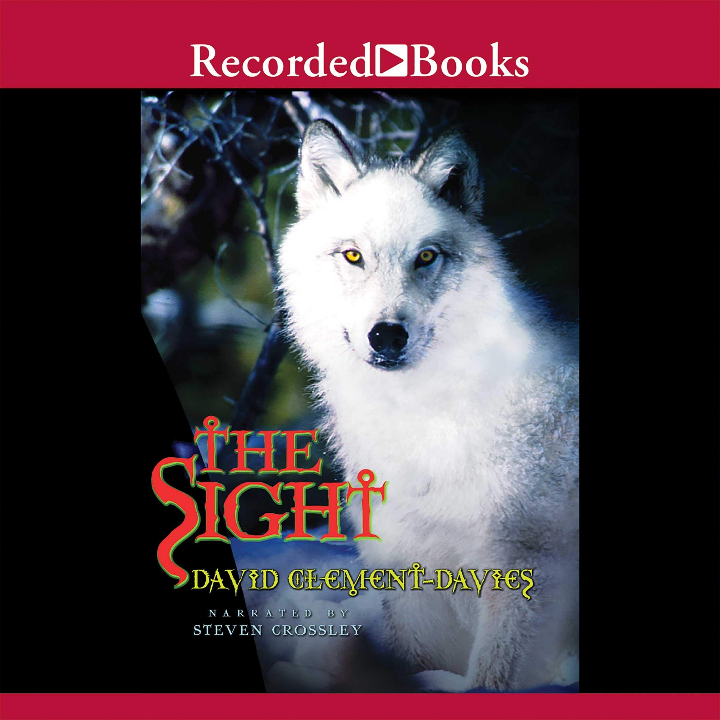 Amazon.com: The Sight (The Sight Series): 9781664485853: David Clement ...