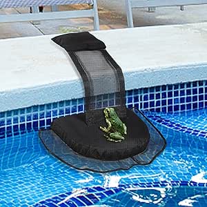Amazon.com : Frog Log for Swimming Pool, Animal Saving Escape Ramp ...