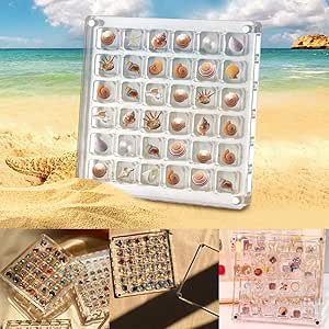Amazon.com: Mesen Acrylic Magnetic Seashell Display Box, Seashell Storage Box Display Case ...