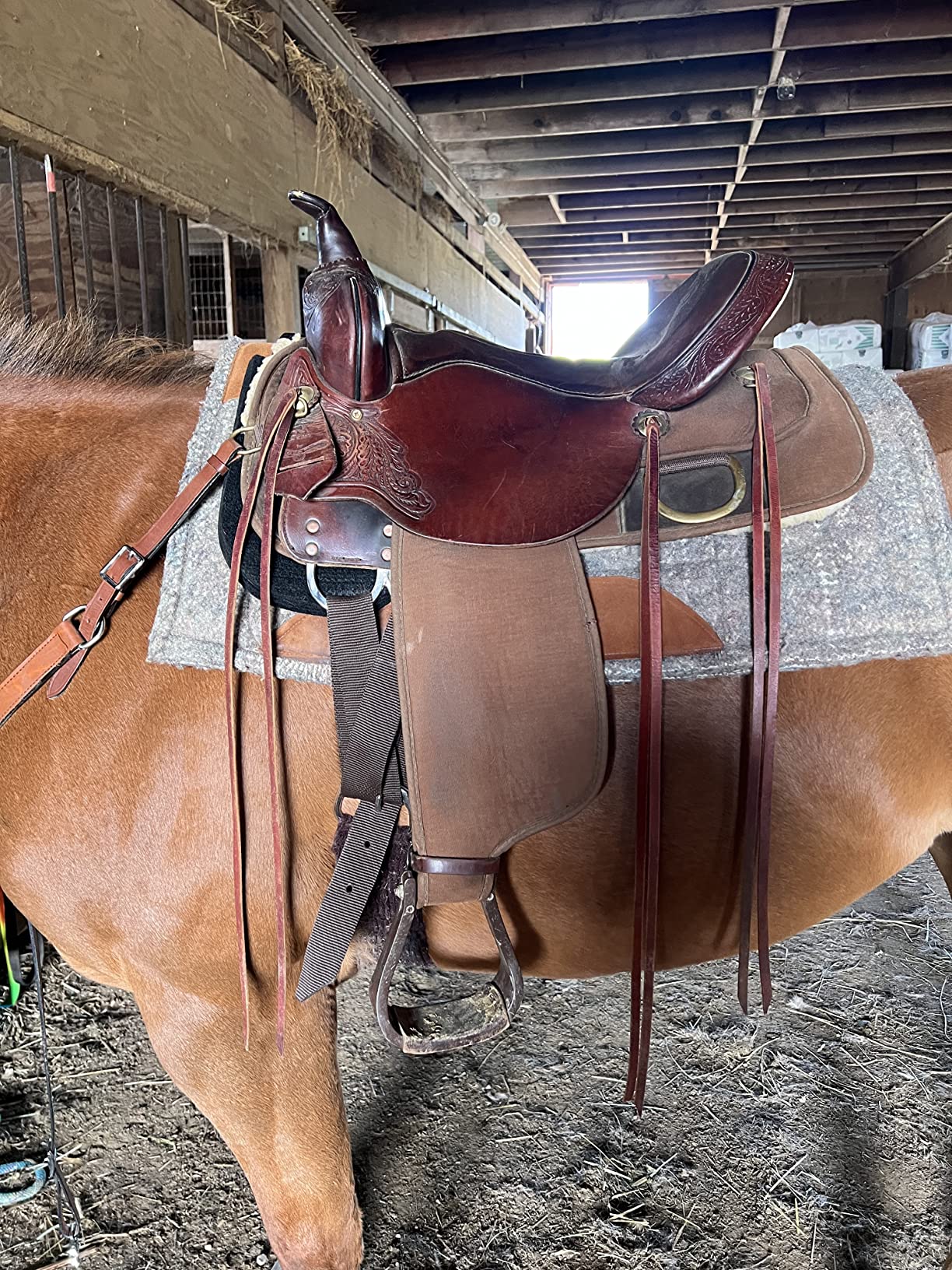 $6/mo - Finance Western Felt Wider Wither Pad | Buy Now, Pay Later