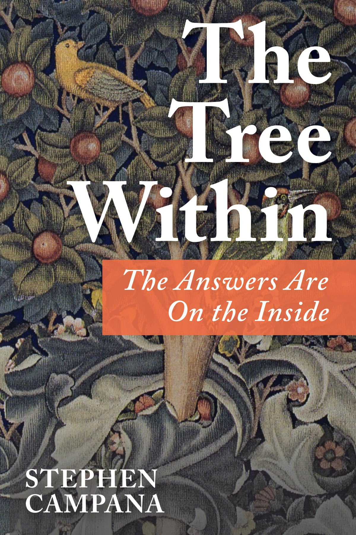 The Tree Within: The Answers Are On the Inside: Campana, Stephen ...
