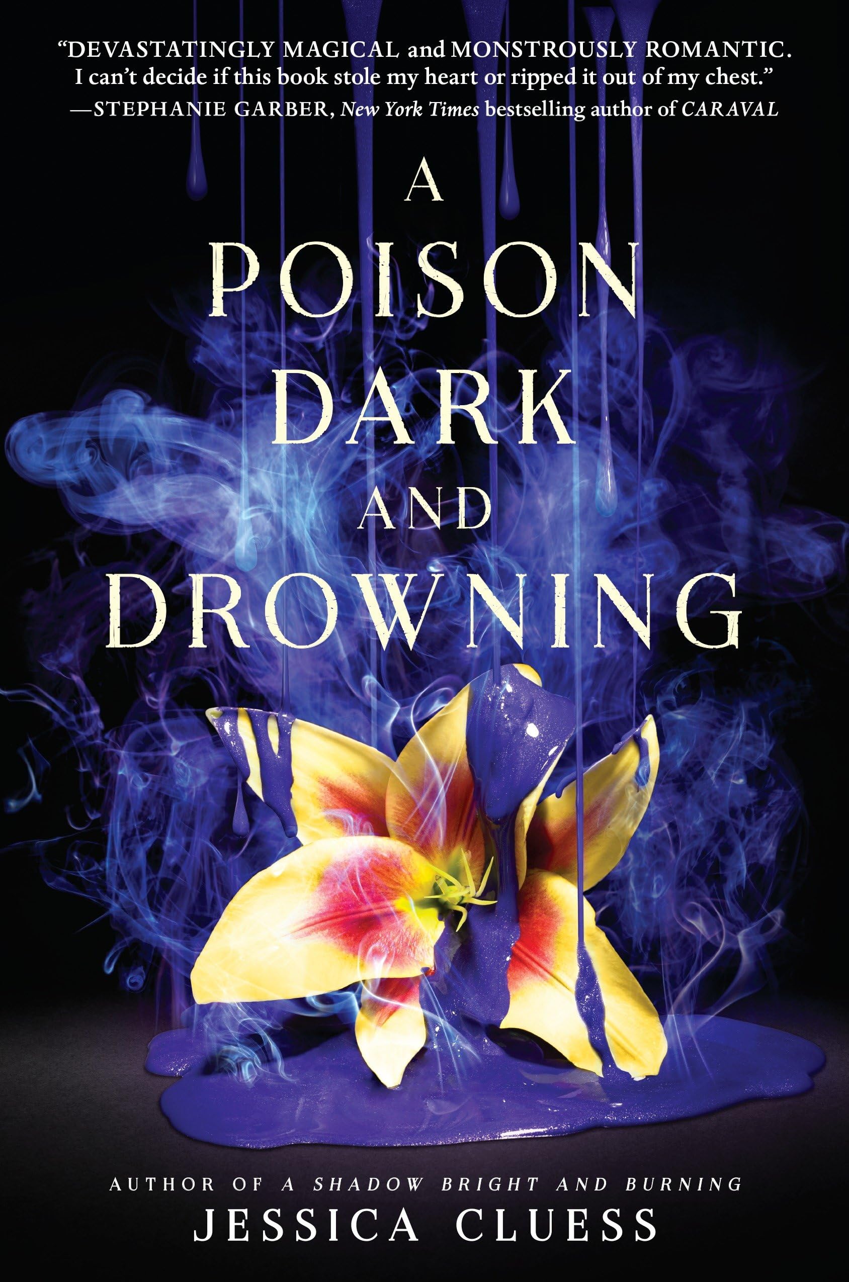 Amazon.com: A Poison Dark and Drowning (Kingdom on Fire, Book Two ...