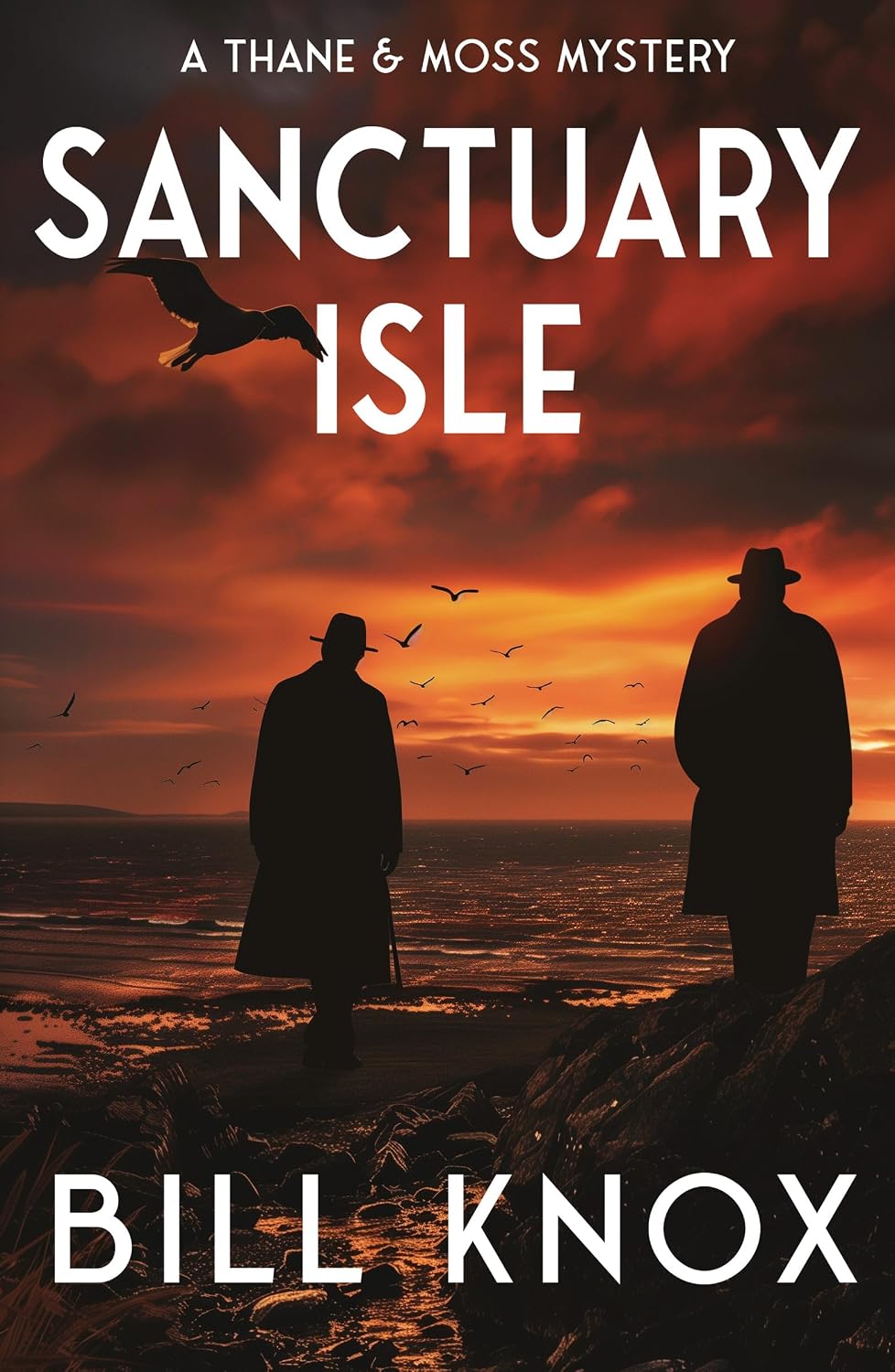 Amazon.com: Sanctuary Isle (Thane & Moss Book 5) eBook : Knox, Bill ...