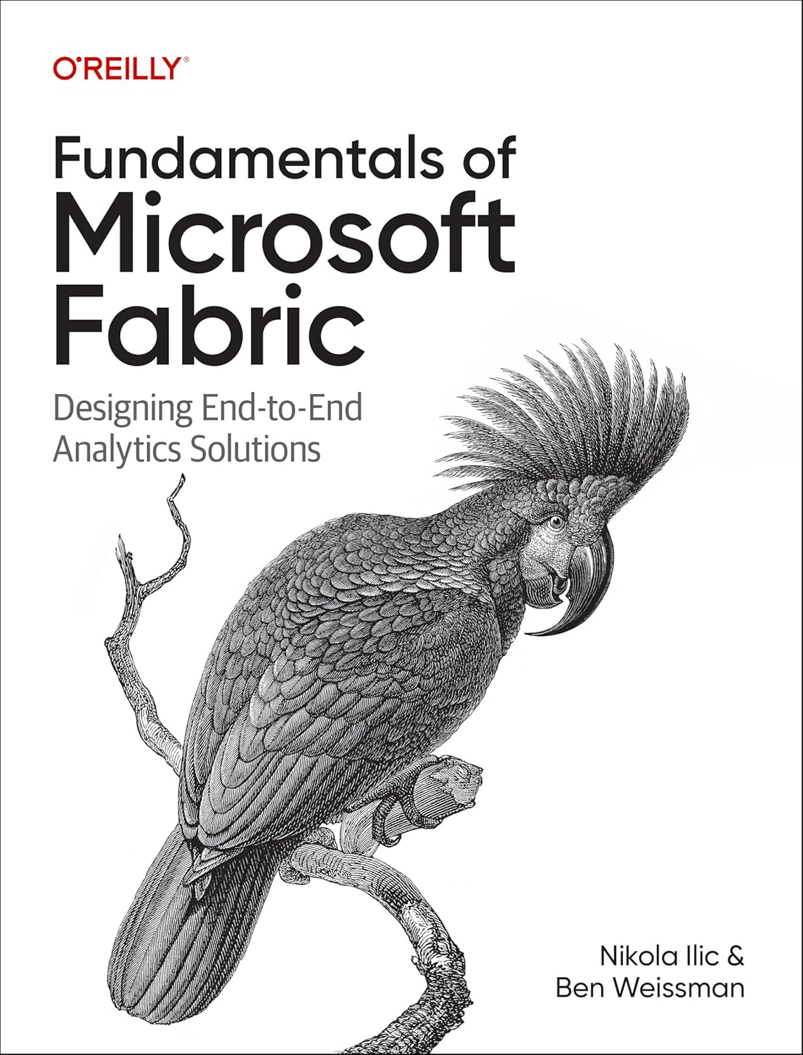 Amazon.com: Fundamentals of Microsoft Fabric: Designing End-to-End ...