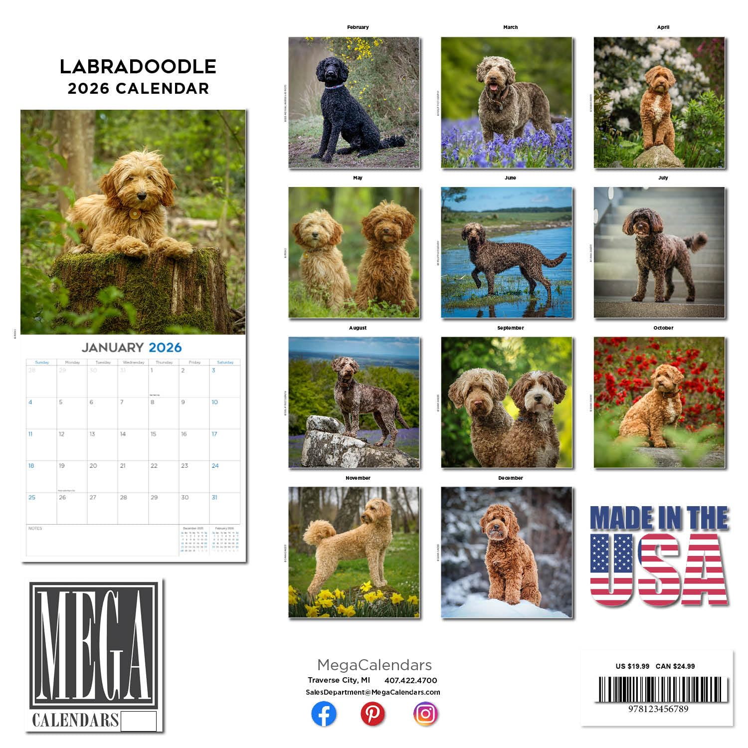 Snapklik.com : 2026 Labradoodle Calendar - Dog Breed Wall Calendar - 12 ...