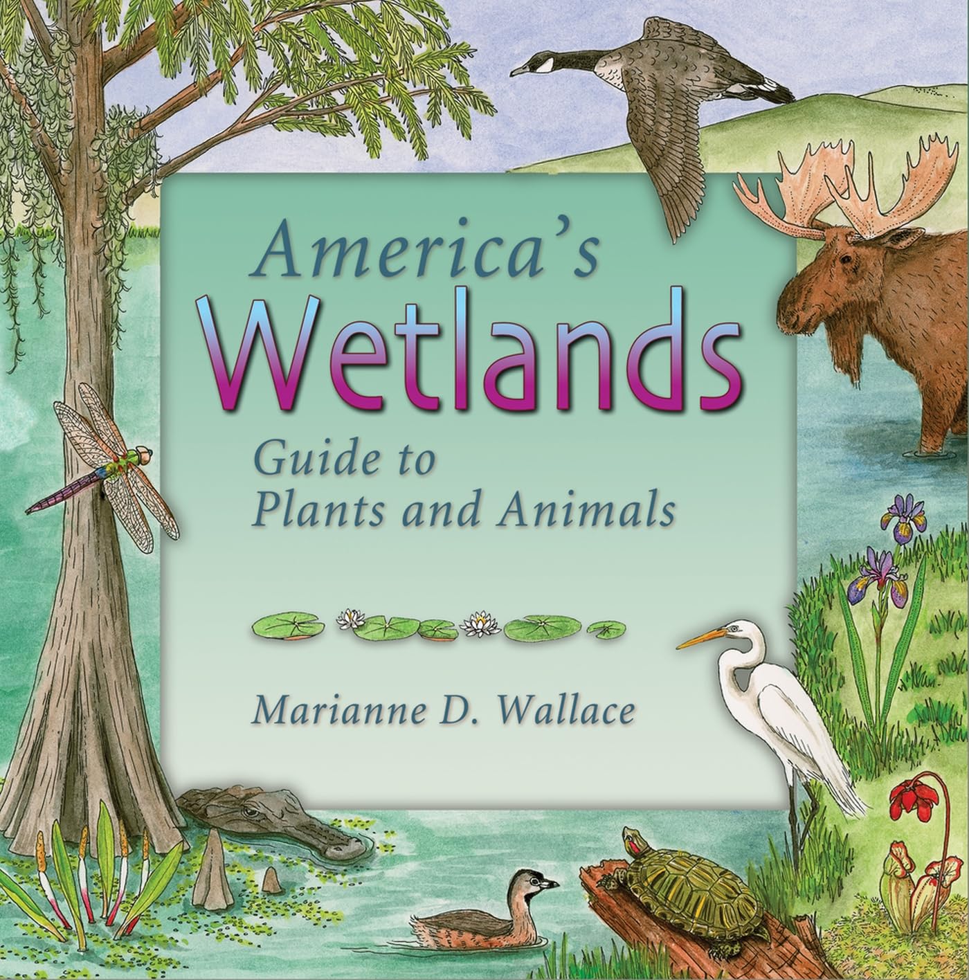 Wetlands Animals And Plants Nature Based Solutions Could Offset