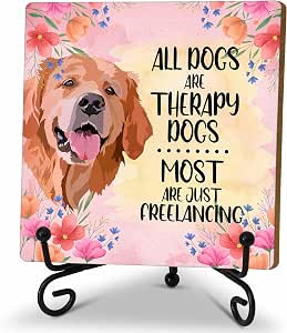 Amazon.com: Inspirational Desk Decor Sign, Motivational Wooden Sign ...