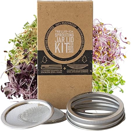 Amazon.com : Seed Sprouting Jar Kit - 2 Sprouter Mason Jars with Screen ...