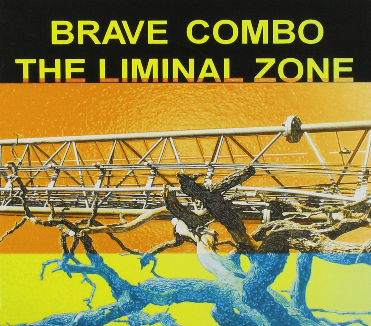 Liminal Zone: Brave Combo: Amazon.es: CD y vinilos}