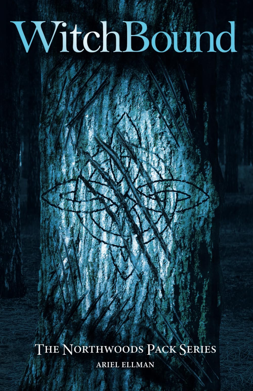 Amazon.com: WitchBound (The Northwoods Pack Series): 9780989804493 ...