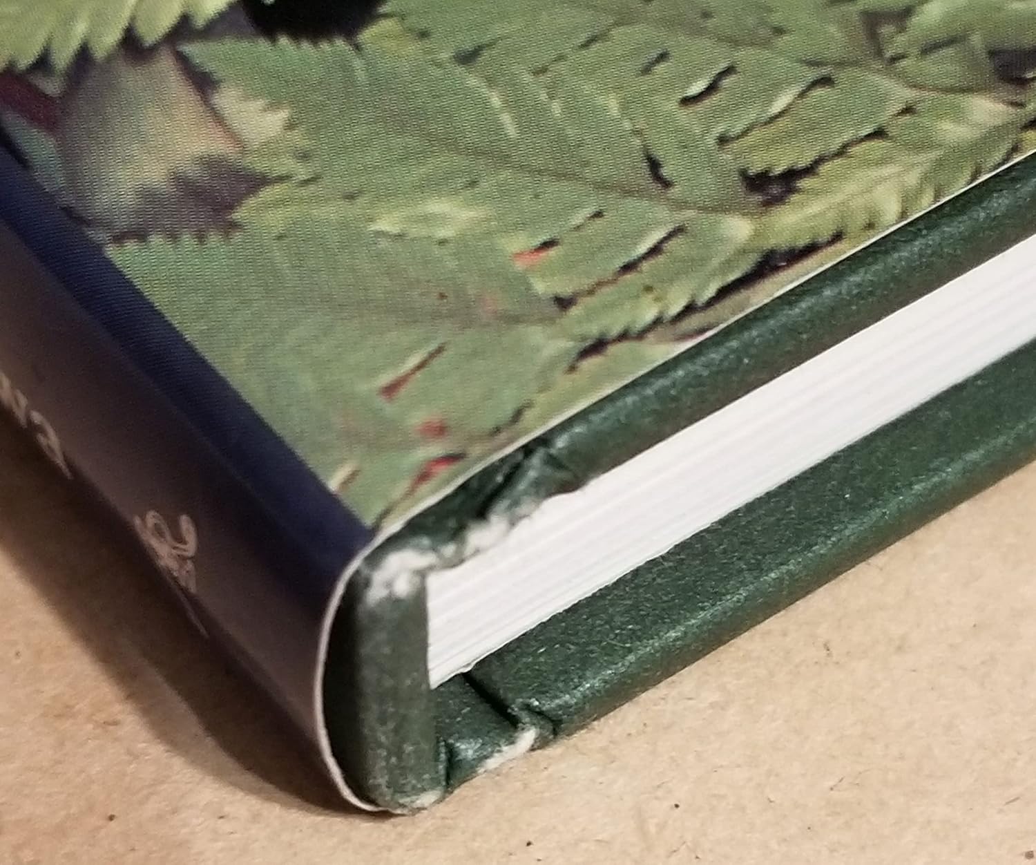 Novelty Slipper Orchids: Breeding and Cultivating Paphiopedilum Hybrids ...