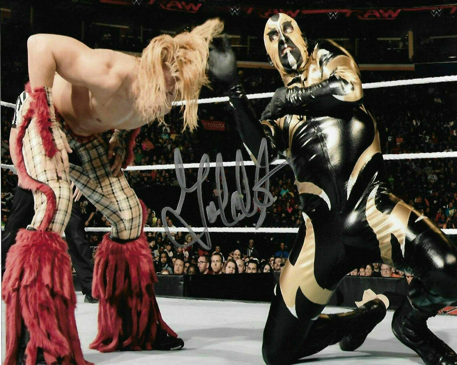 Goldust Dustin Runnels Wrestler