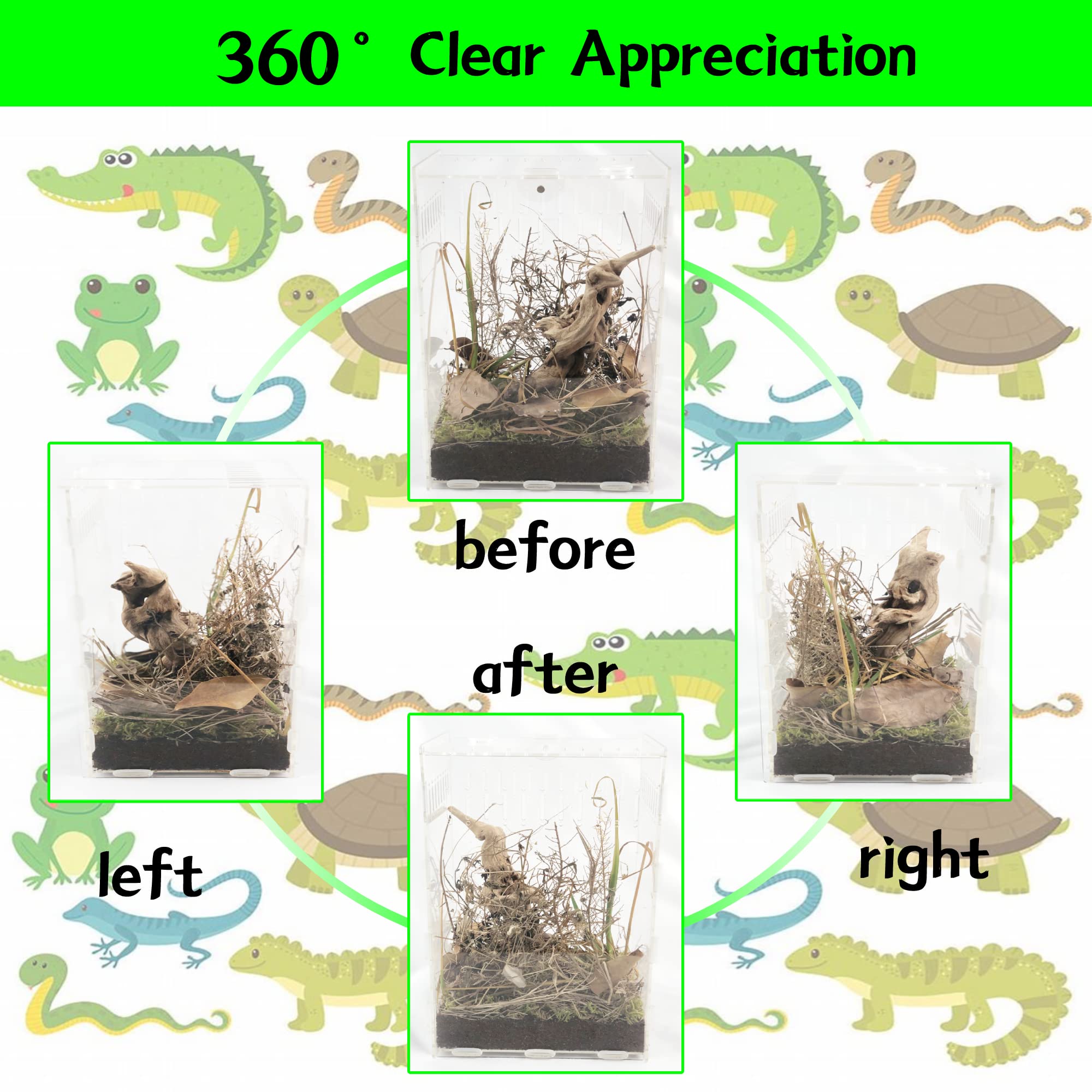 Snapklik.com : 12x8x6 Inch Magnetic Acrylic Reptile Case, Vertical ...