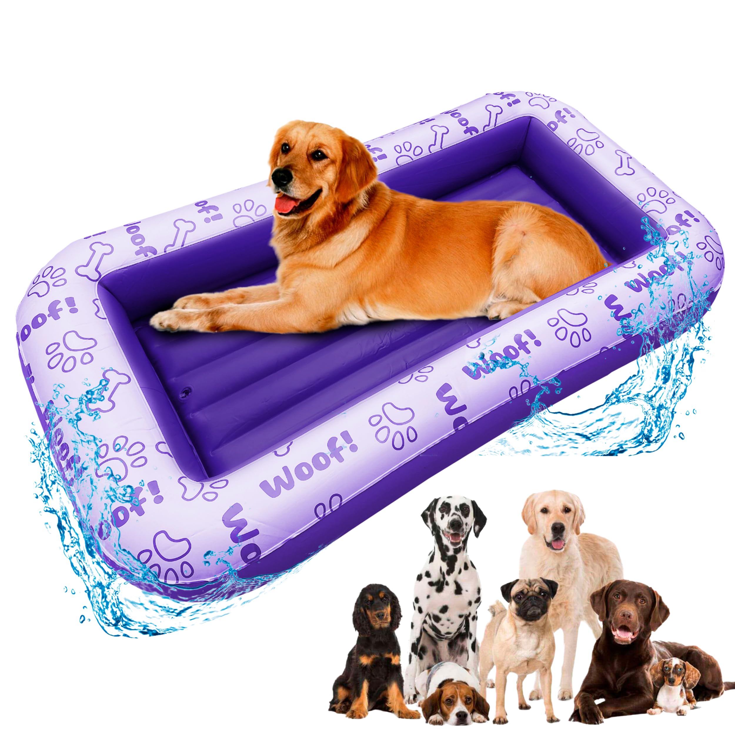 Amazon.com: Schwimmer Premium Dog Pool Float for Large Dogs - Enhanced ...
