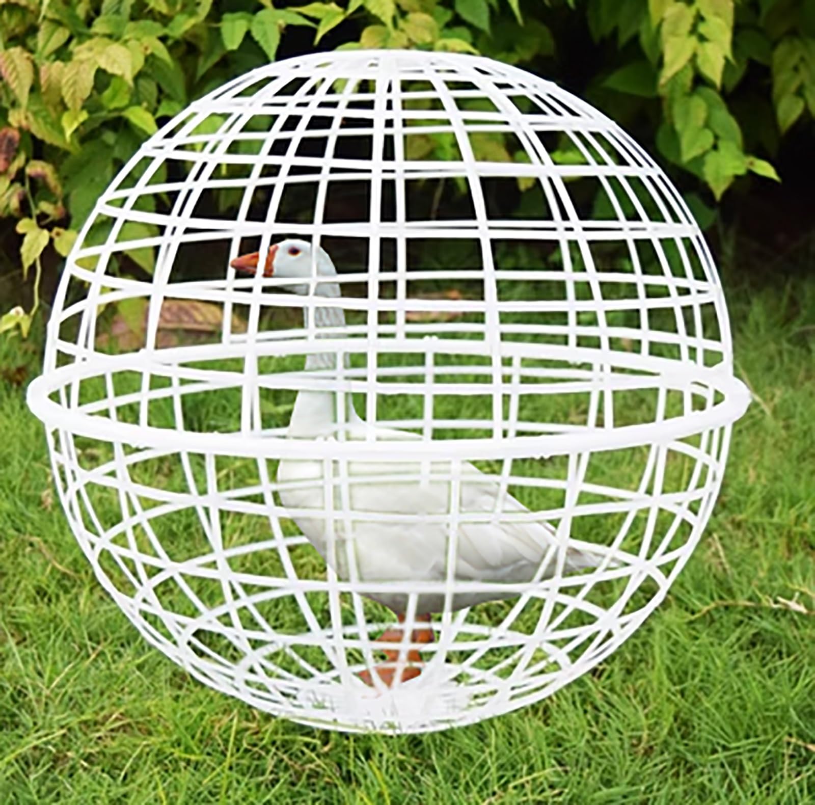 Horse Balls For Dogs Rabbit Cage Chicken Cage Ball Rollable Circular ...