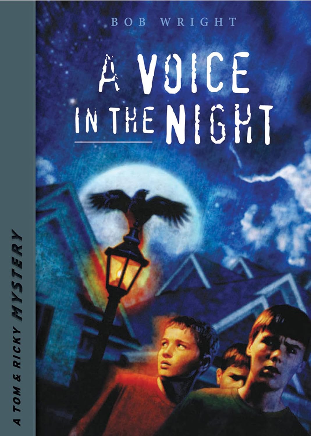 Amazon.com: A Voice in the Night (Tom and Ricky Mystery Series Set 2 ...