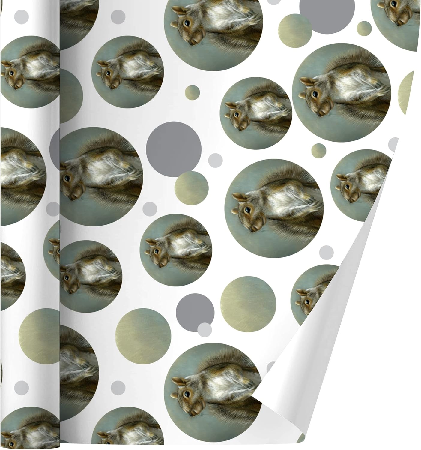 Amazon.com: GRAPHICS & MORE Mischievous Squirrel Gift Wrap Wrapping ...