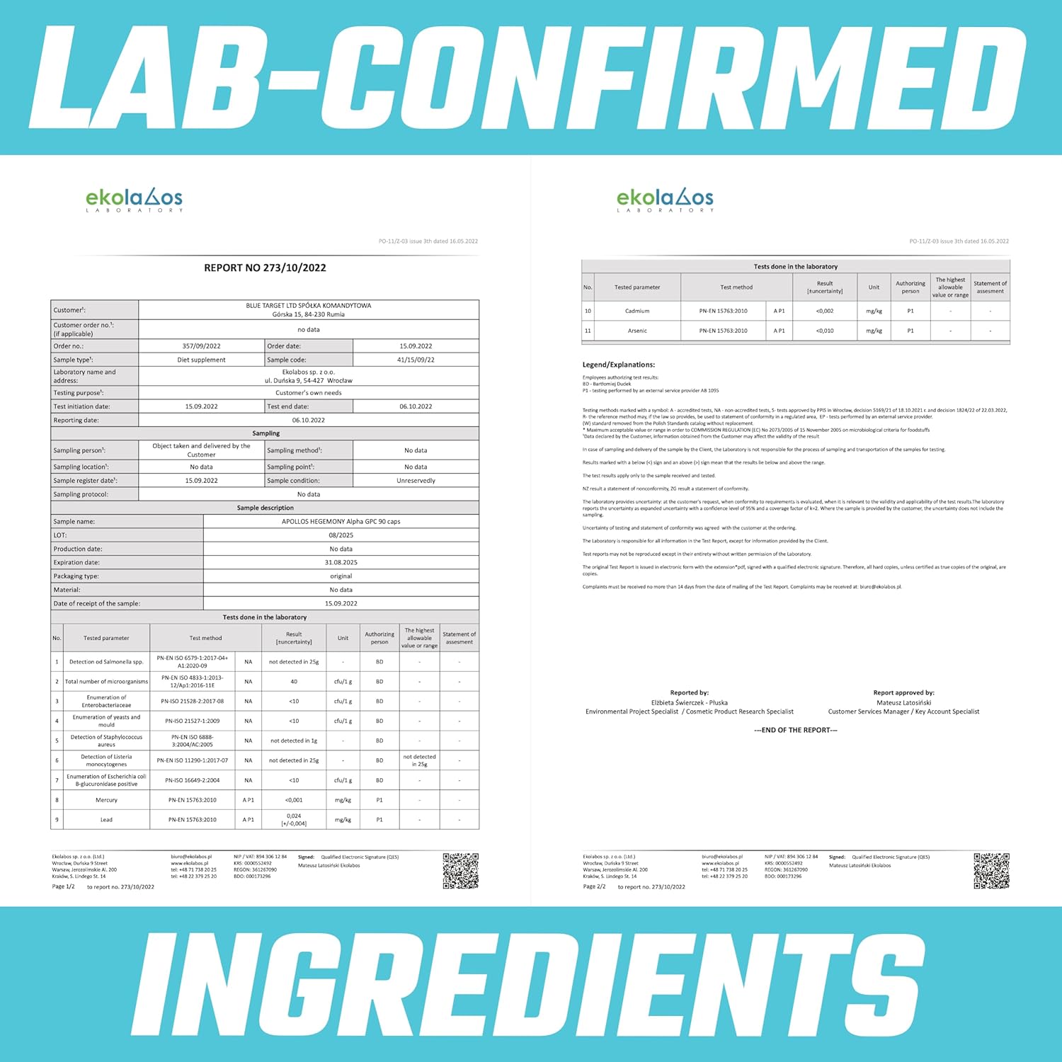 APOLLO’S HEGEMONY Alfa GPC (Colina) 90 KAPS. – Yaxa Colombia