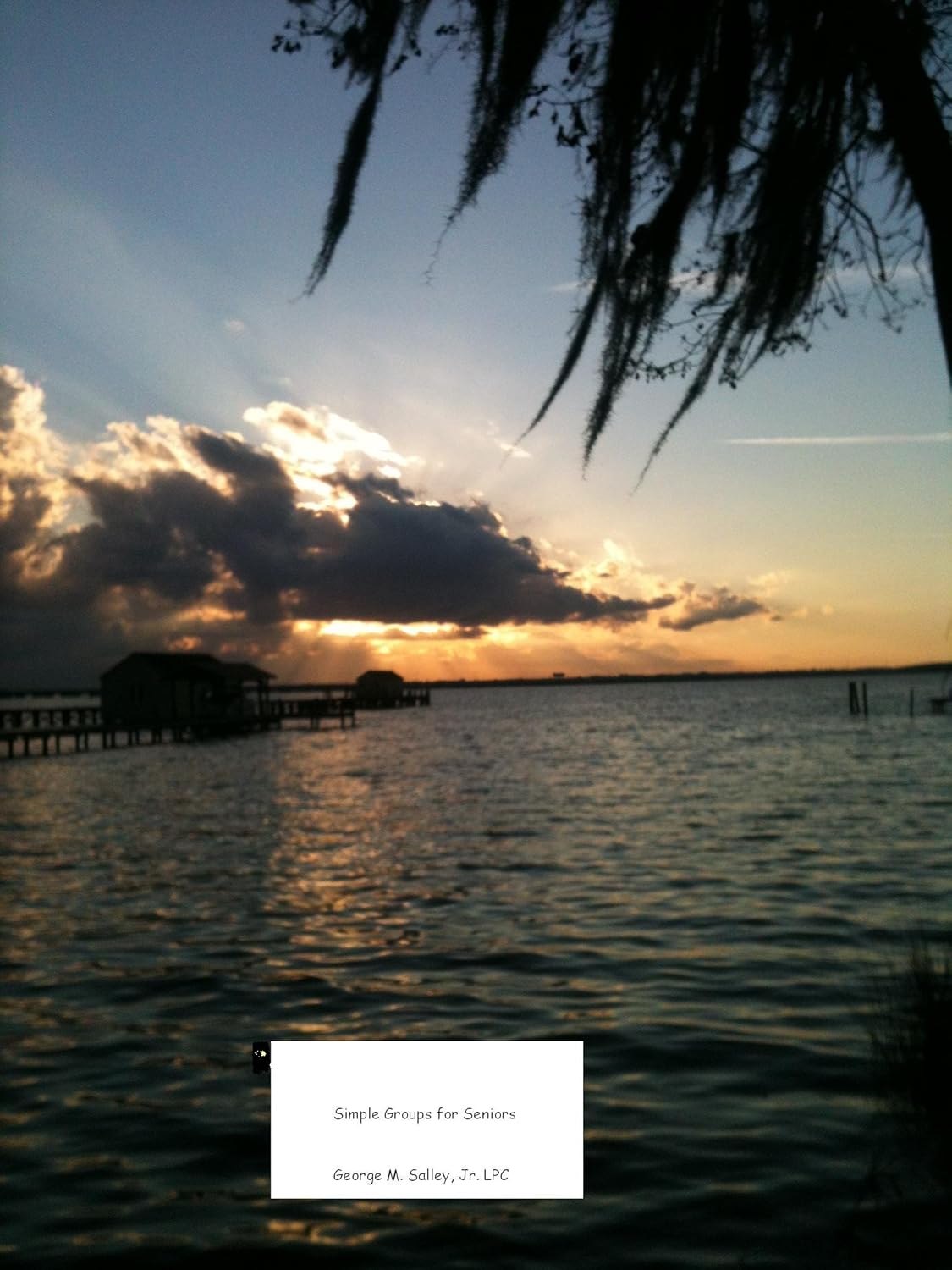 Simple Groups for Seniors - Kindle edition by Salley, George. Health ...