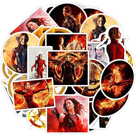 Amazon.com: 20 PCS Stickers Pack The Aesthetic Hunger Vinyl Games ...