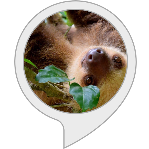 Amazon.com: Sloth Facts : Alexa Skills