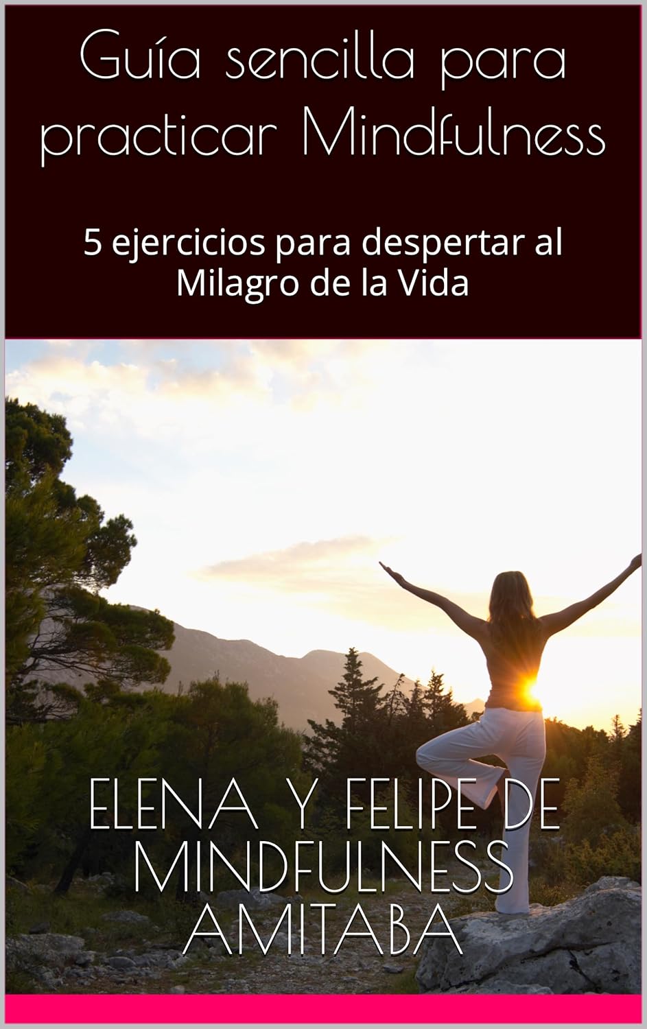 Amazon.co.jp: Guía sencilla para practicar Mindfulness: 5 ejercicios ...