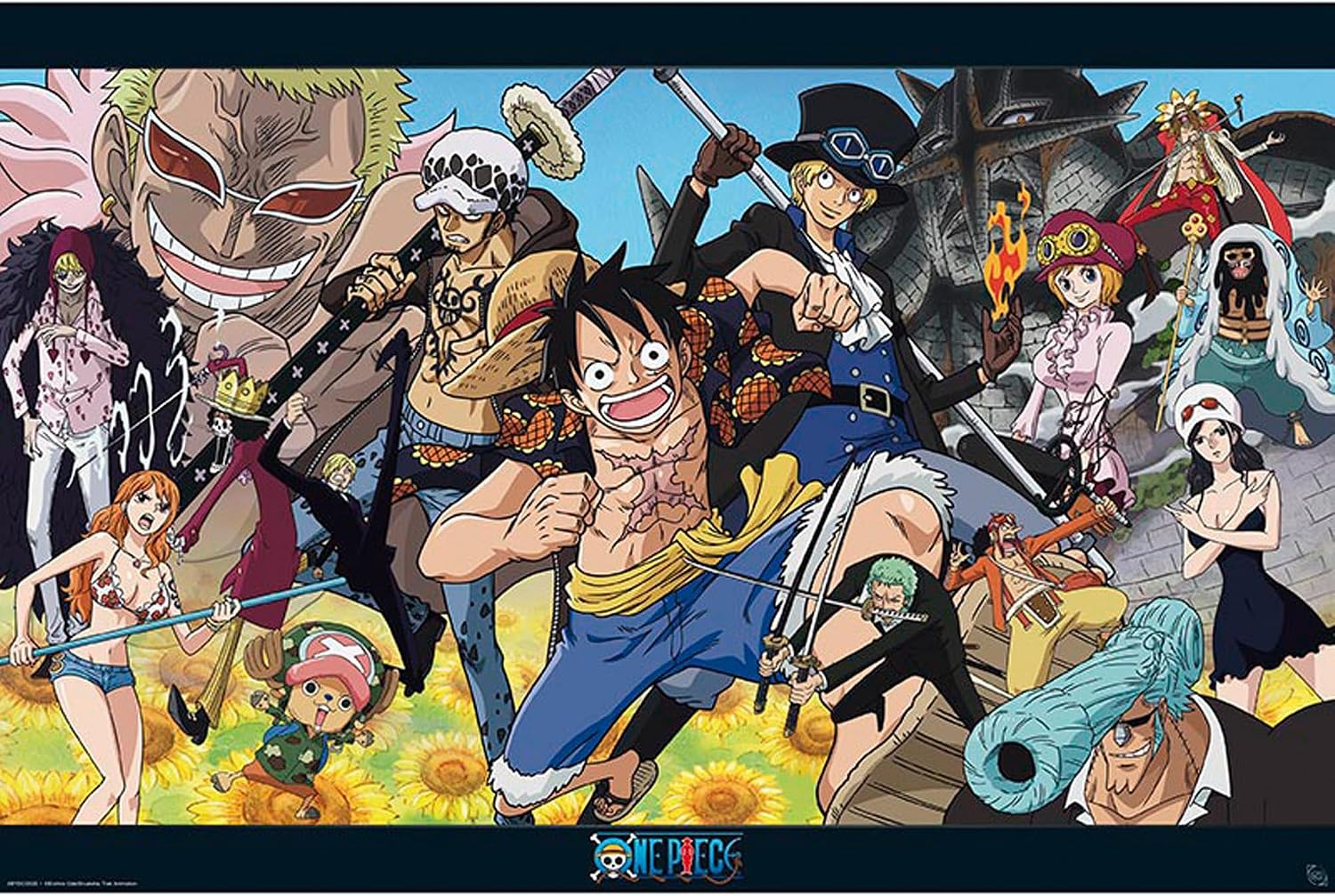 Amazon.com: ONE PIECE Poster "Dressrosa" (98x68): Posters & Prints