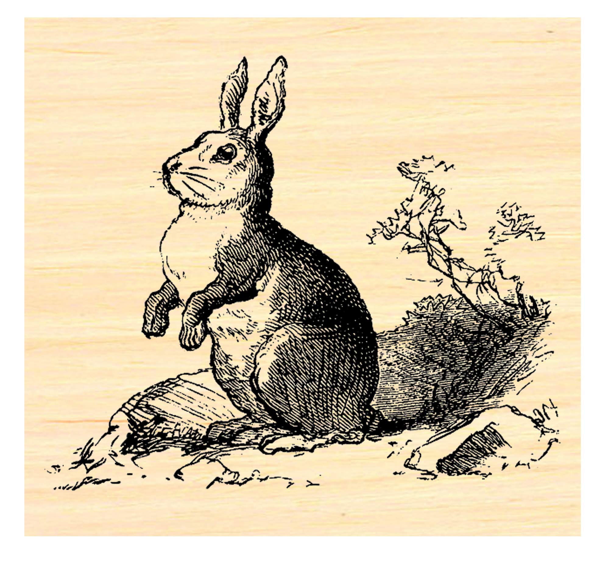 Amazon.com: P39 Rabbit Rubber Stamp, Vintage Styled : Arts, Crafts & Sewing