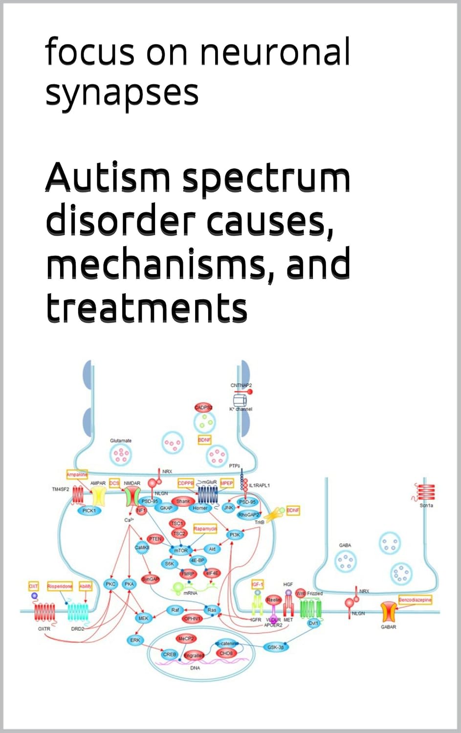 Autism spectrum disorder causes, mechanisms, and treatments: focus on ...