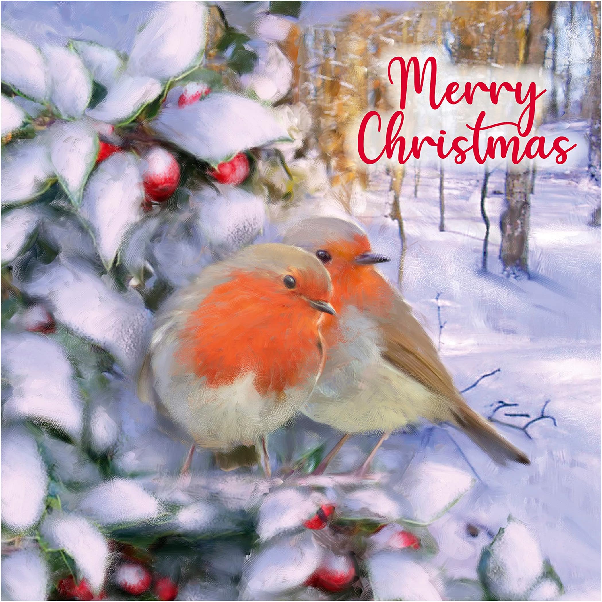 Eurowrap Pack of 12 Assorted Christmas Cards Xmas Traditional Robin, 2 ...