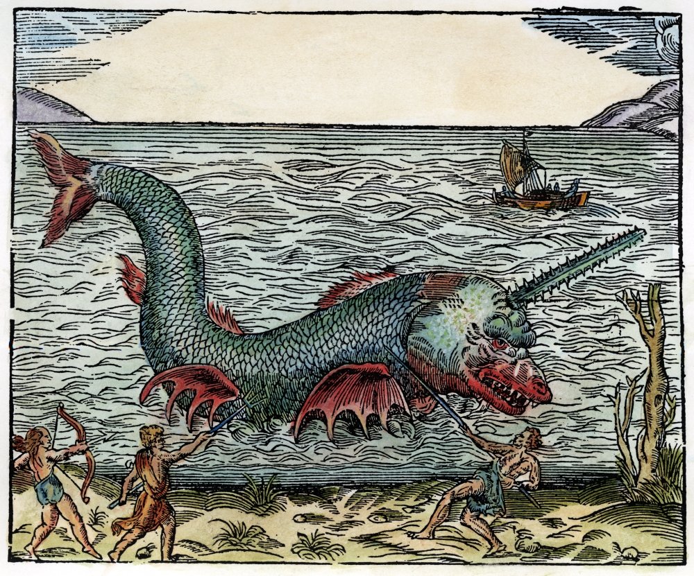 Dessin De Monstre Marin La Fabuleuse Histoire Des Monstres Marins