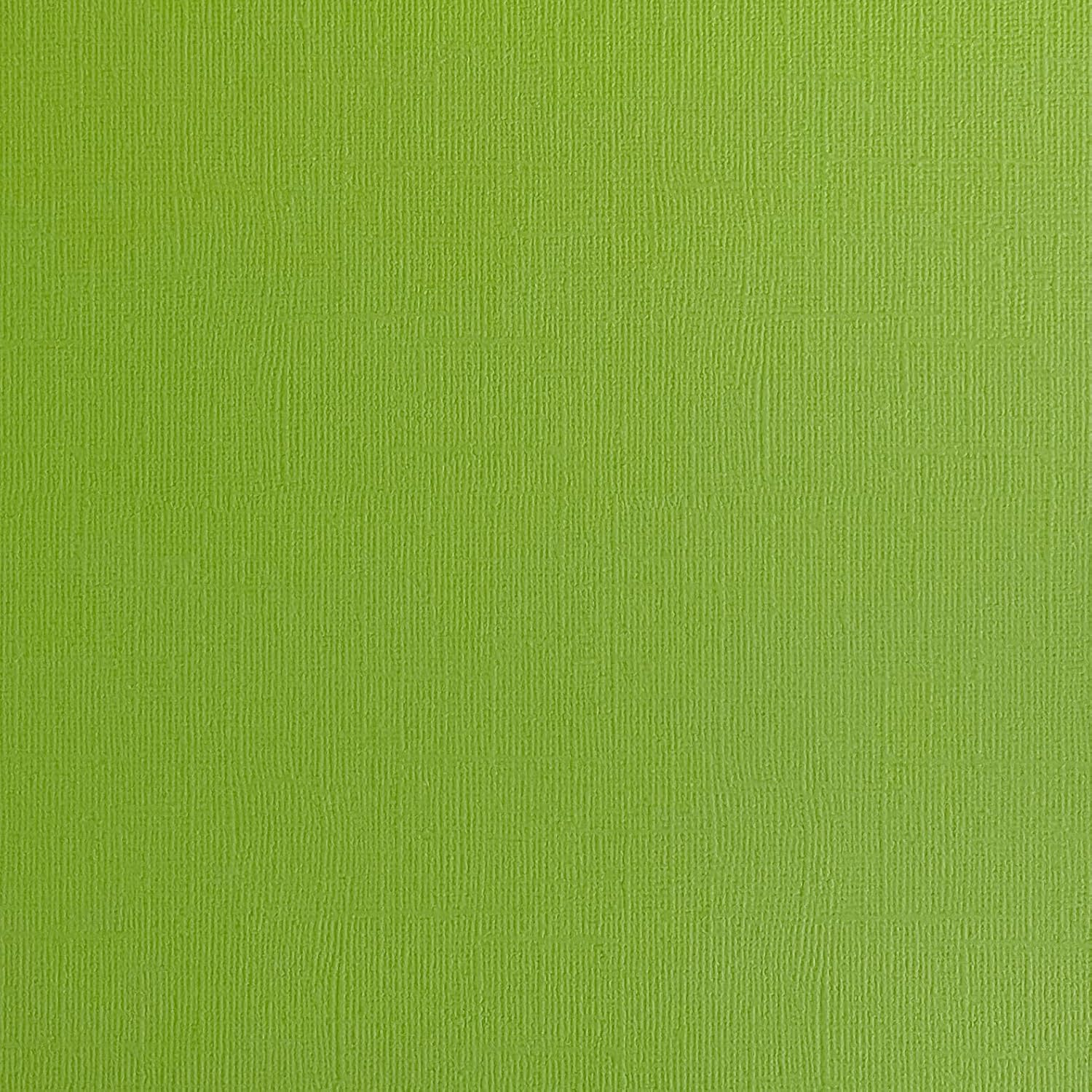 Amazon.com : Grasshopper—12x12 Textured Cardstock | 80lb Textured Green ...