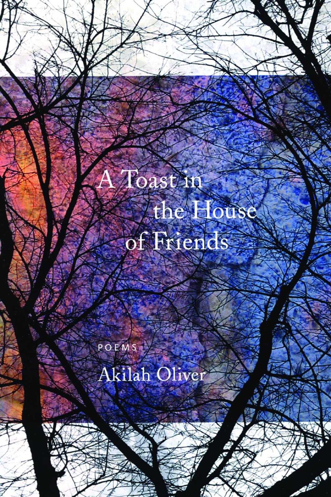 A Toast in the House of Friends: Oliver, Akilah: 9781566892223: Amazon ...