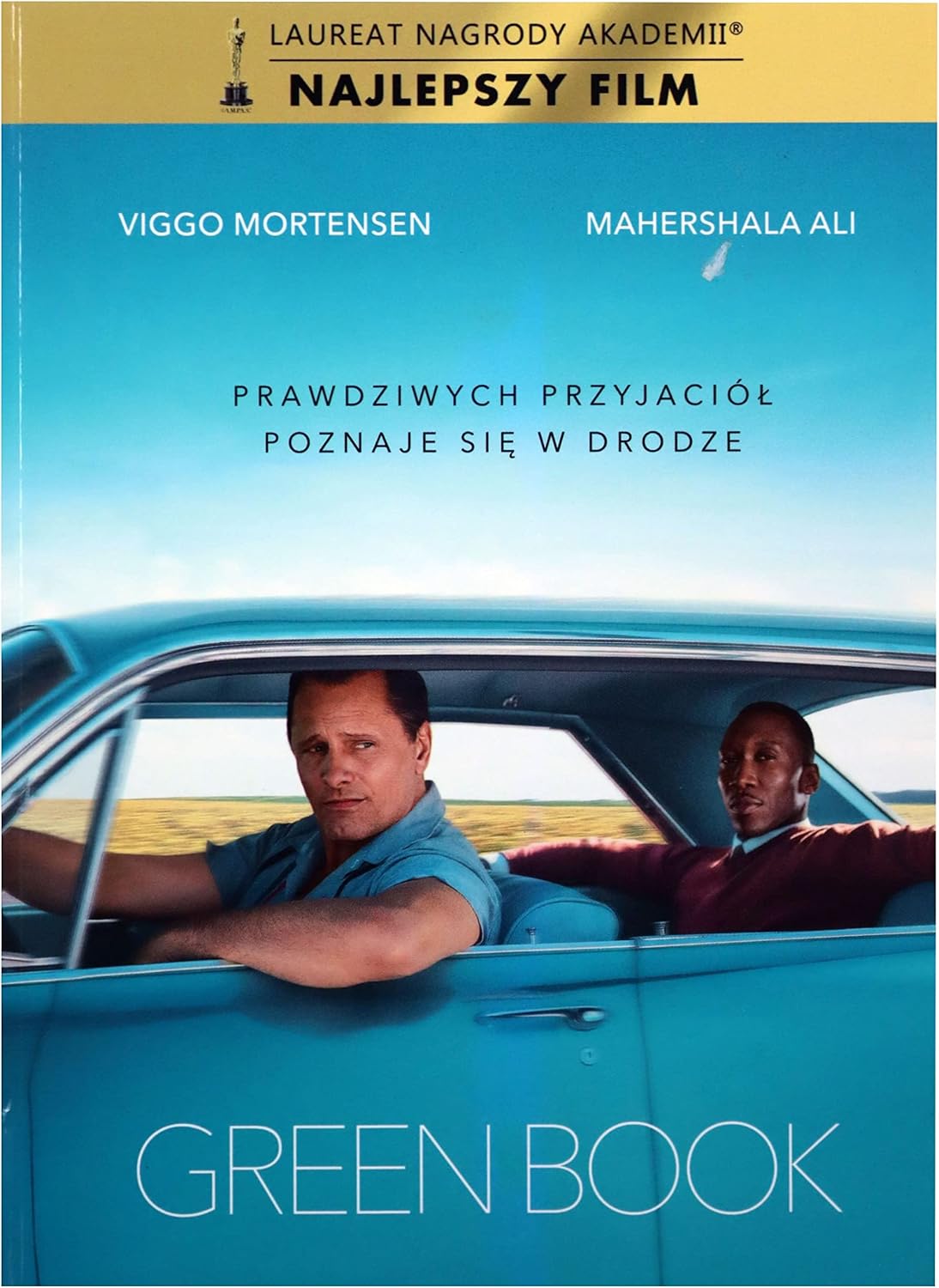 Green Book [DVD] (English audio): Amazon.co.uk: Jeffrey Klemmer, Leslie ...