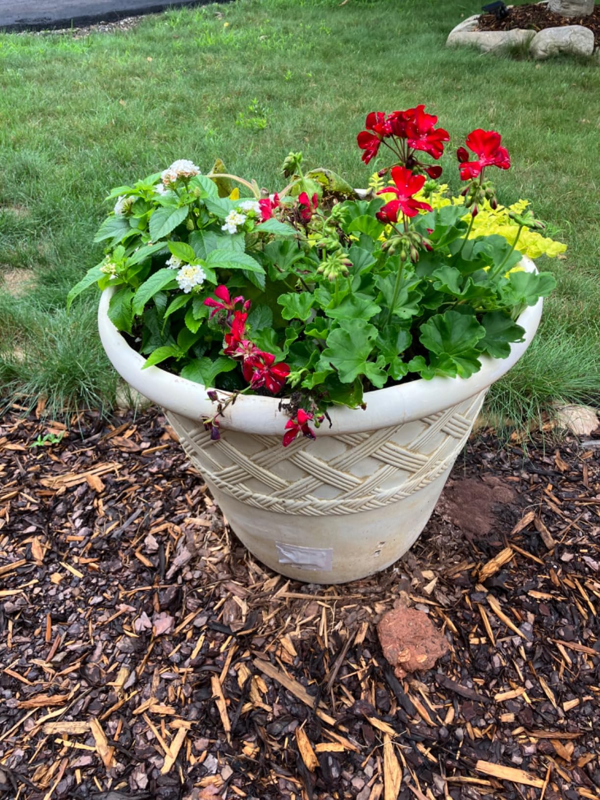 Amazon.com: Bloem Ups-A-Daisy Round Planter Insert: 15" - Orange ...