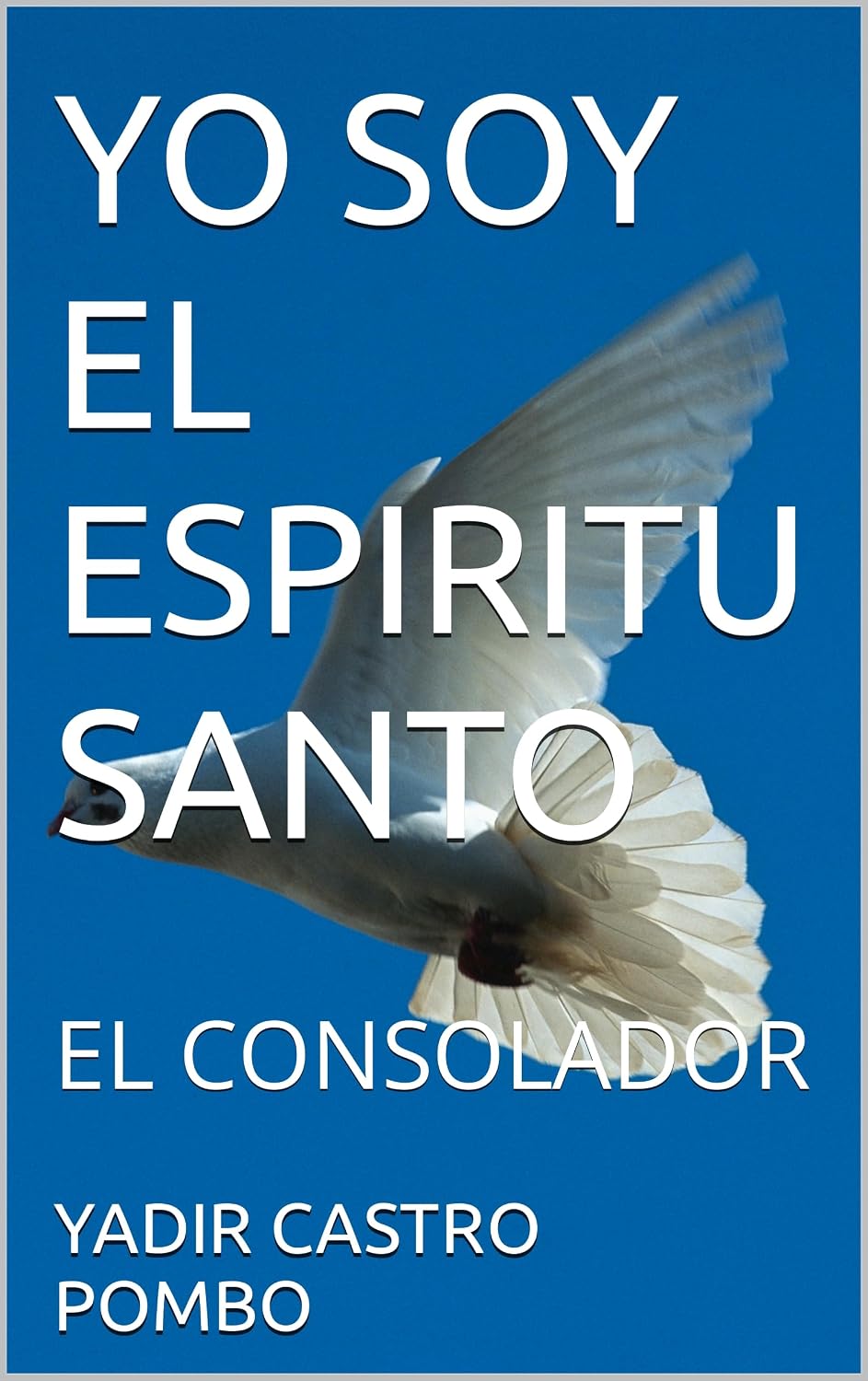 YO SOY EL ESPIRITU SANTO: EL CONSOLADOR eBook : CASTRO POMBO, YADIR ...