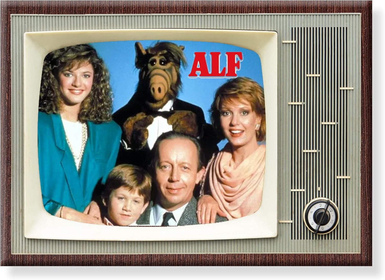Amazon.com: ALF TV Show Retro TV Design Fridge Magnet : Home & Kitchen