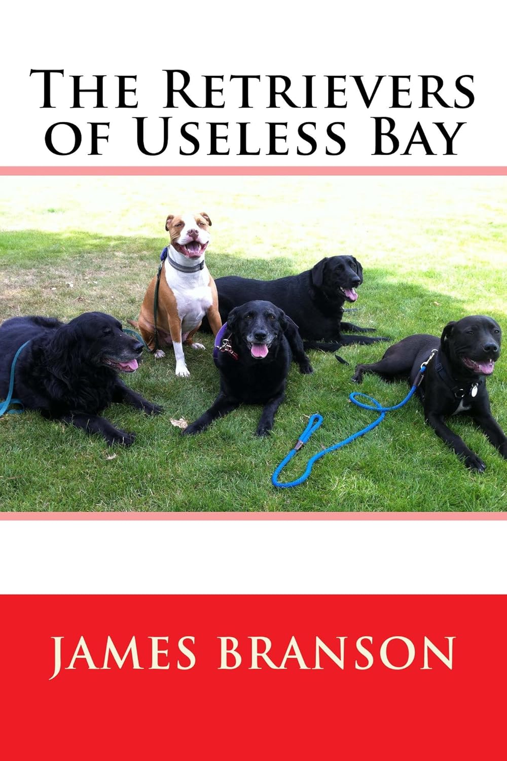 Amazon.com: The Retrievers of Useless Bay eBook : Branson, James ...