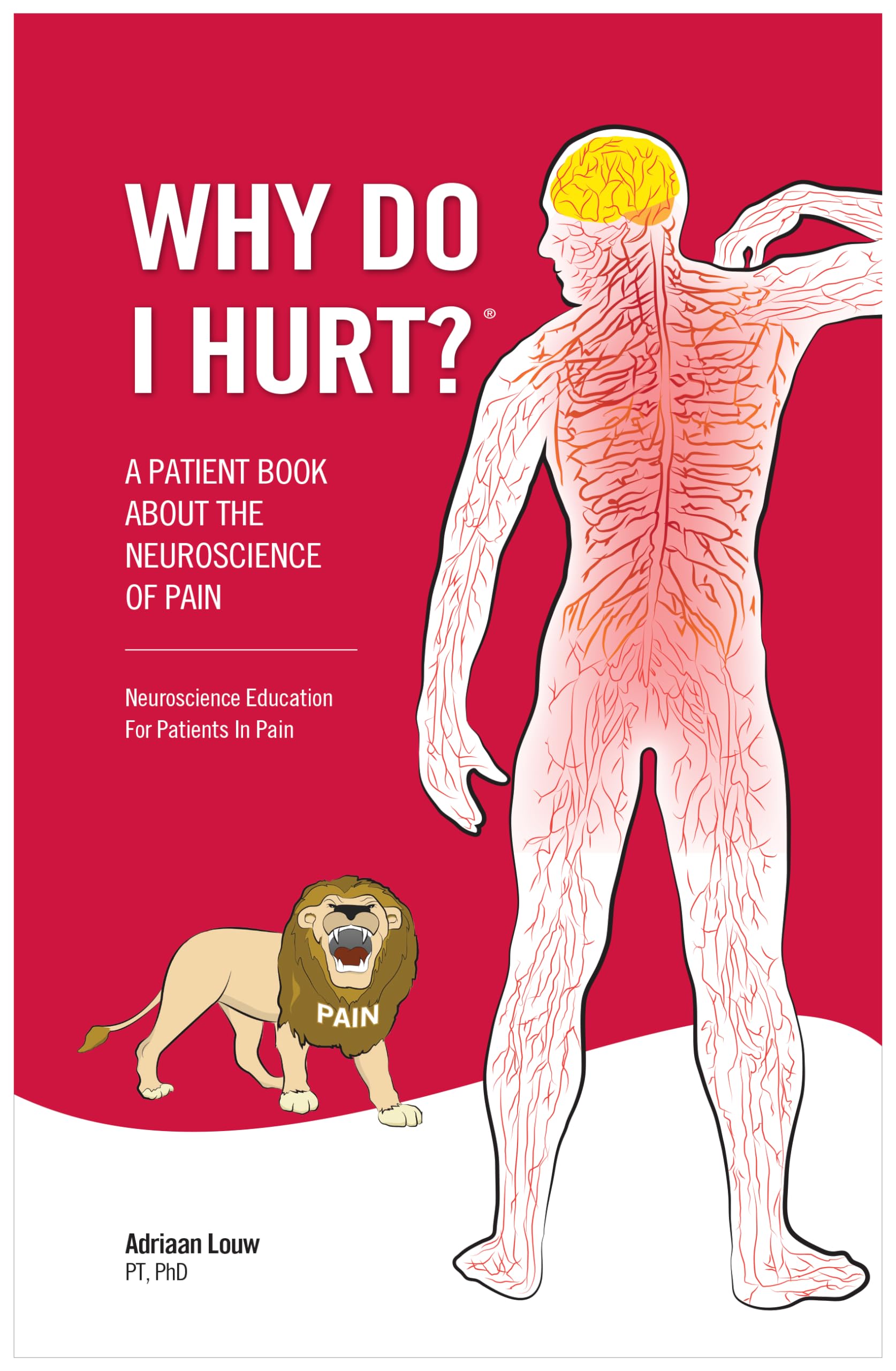 Why Do I Hurt?: A Patient Book About The Neuroscience Of Pain: Louw PT ...
