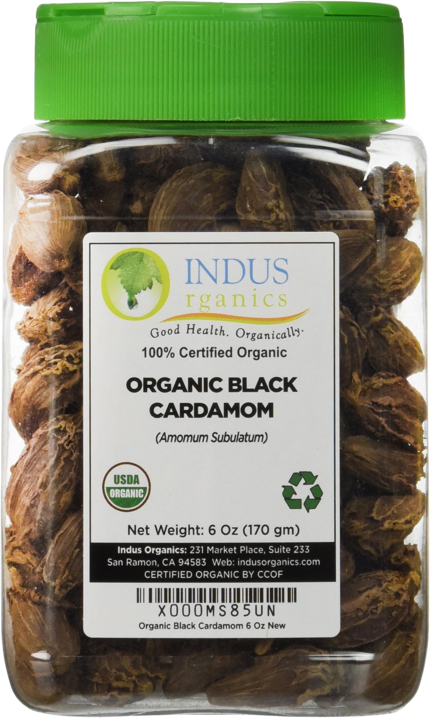 Amazon.com : Indus Organics Green Cardamom (Pods), 3 Oz Bag, Premium ...