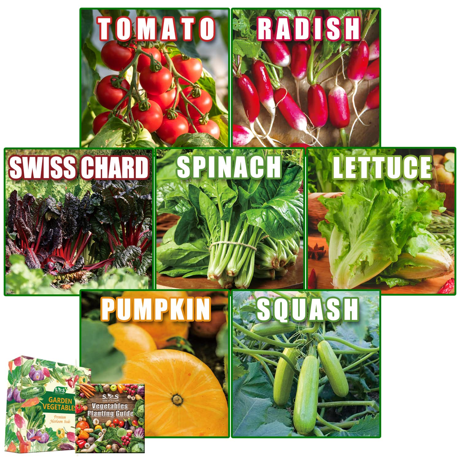Amazon.com : Heirloom Vegetable Seeds Variety 7 Pack — Includes Lettuce ...