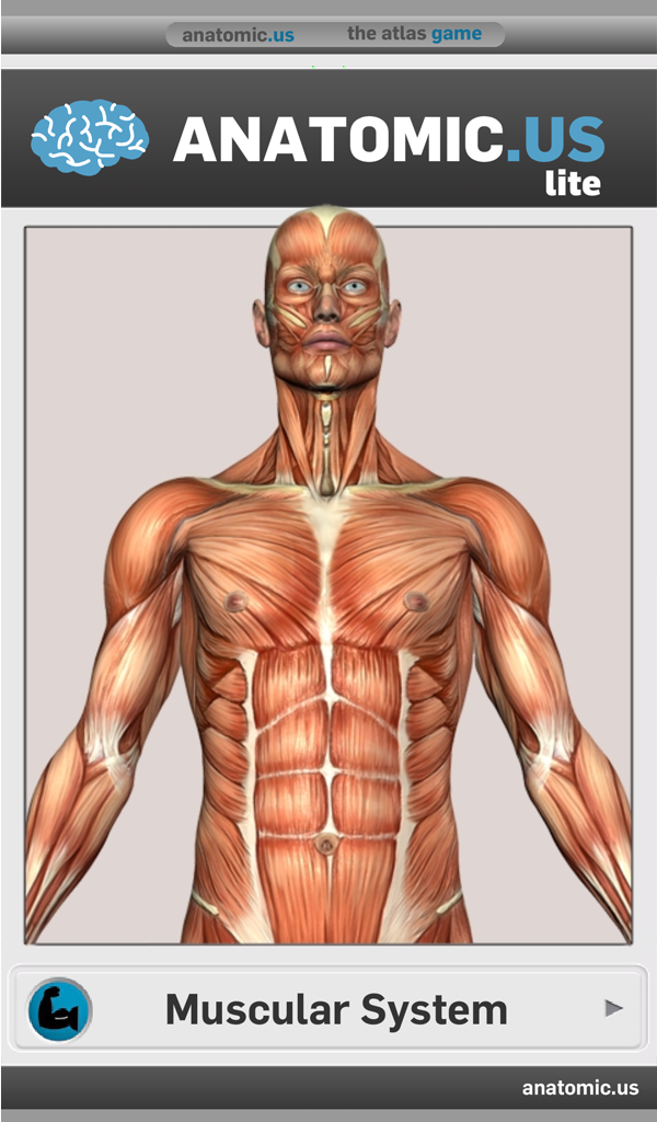 MUSCULAR ANATOMY GAME LITE:Amazon.de:Appstore for Android